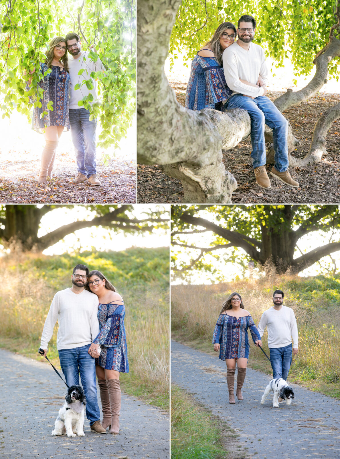 5 Great Ideas For Pet Friendly Engagement Photos Around The Hudson ...